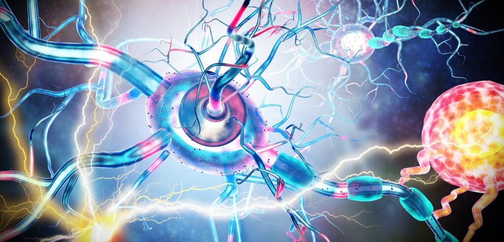 Verlaufsformen der MS - RRMS, SPMS, PPMS, PRMS, RMS & CIS